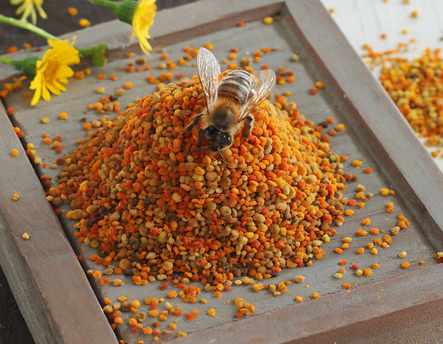 The Buzz About Bee Pollen: 7 Powerful Reasons This Superfood is Recogn ...